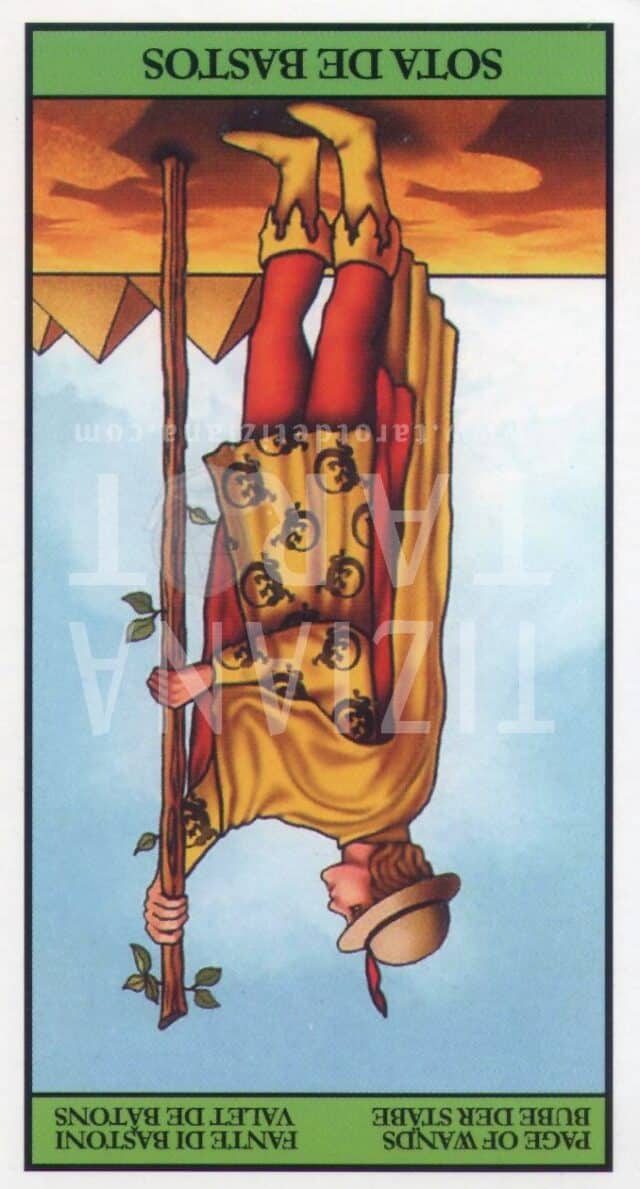 La Sota de bastos y su presencia en el tarot - Tarot de Tiziana